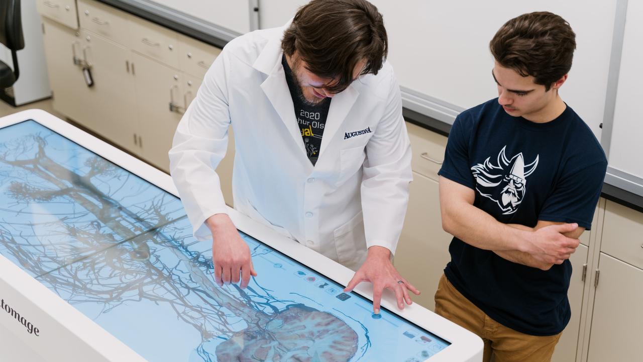 Neuroscience | Augustana University